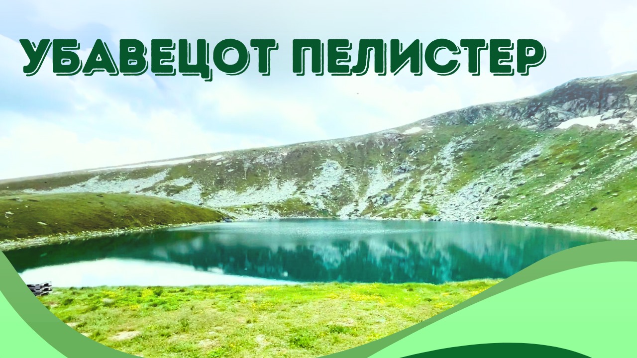 Чудесната приказна за Пелистер - Trn.mk