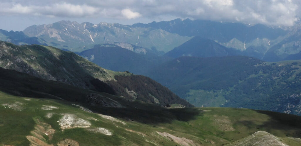 Сторија - Trn.mk