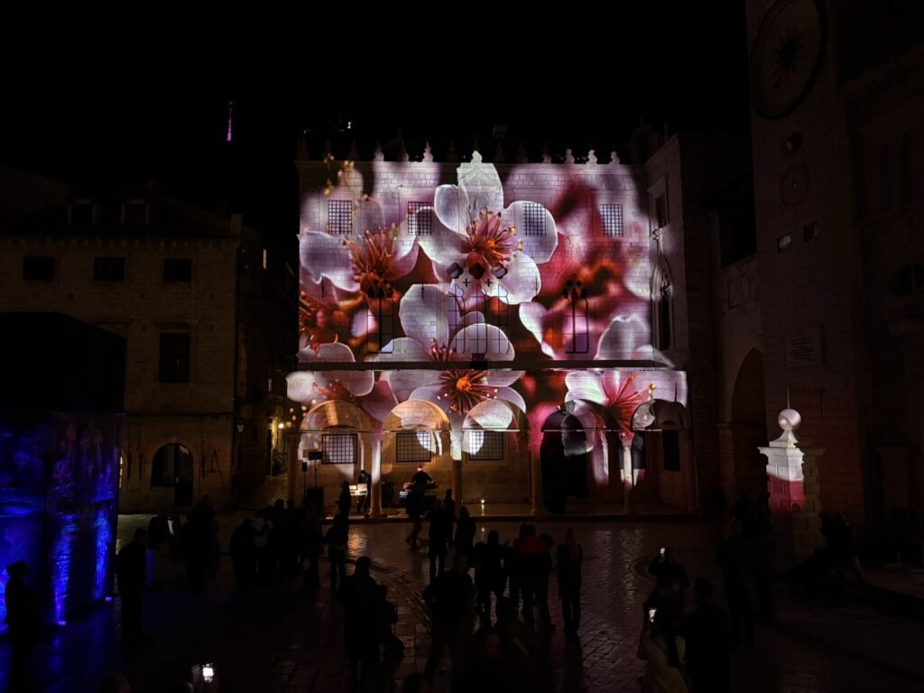 Доријан Миловановиќ со второ место на Lumiart Dubrovnik Light Festival - Trn.mk